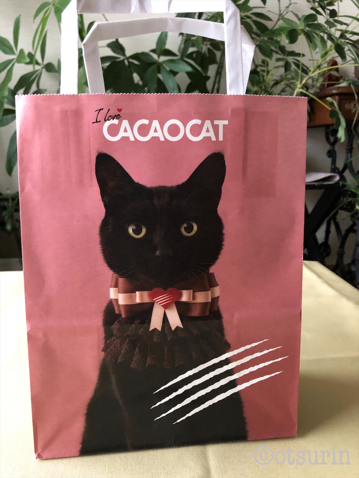 猫好き注目！CACAOCATの北海道オリジナルチョコレート | オツリナブログ